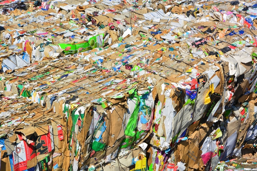 Papermakers support recycling - our news