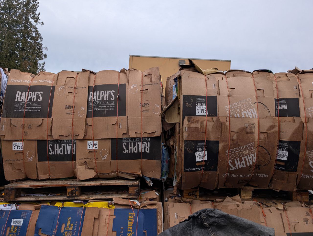 Paper recycling companies are successfully expanding - our news