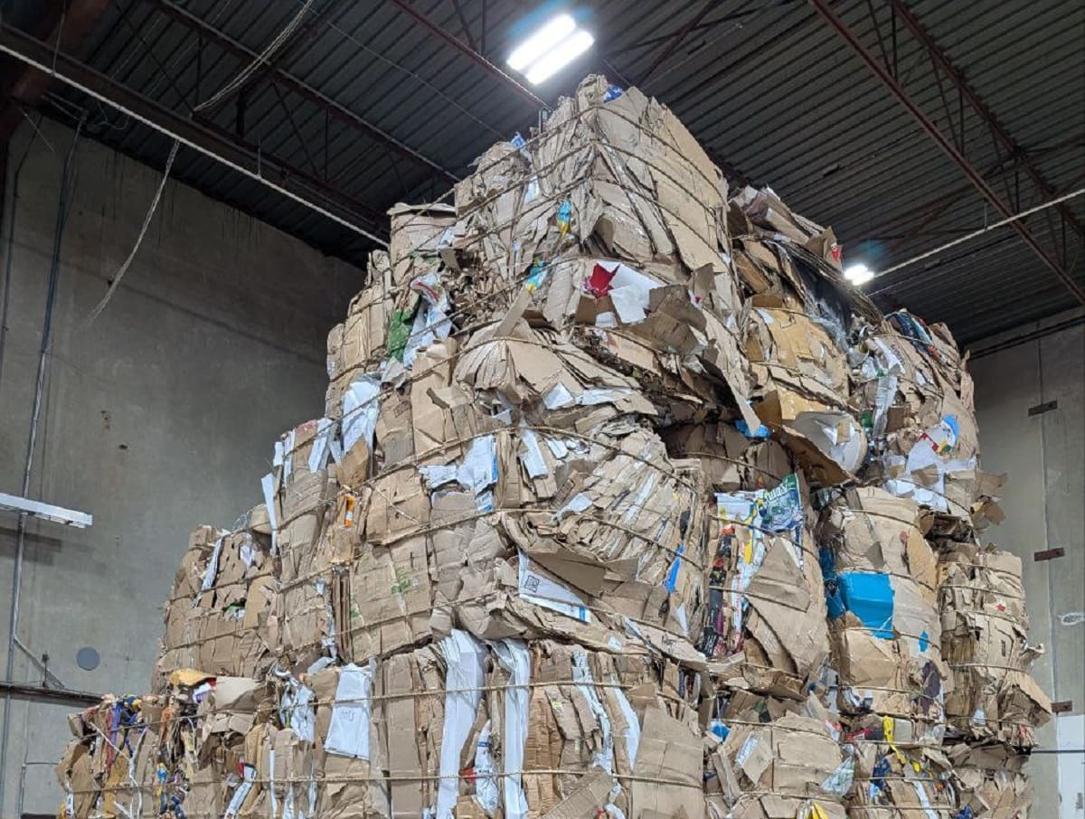 The future of waste paper recycling is bright - our news